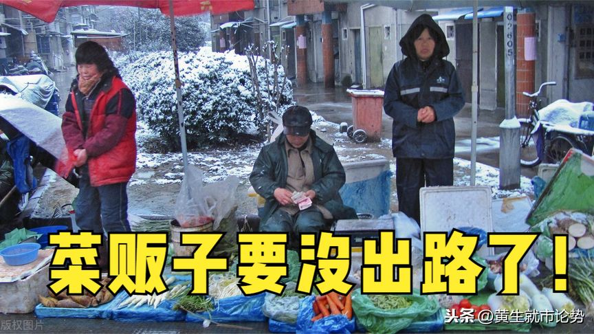 美团、拼多多、淘宝、京东.众多大佬进军卖菜!抢小贩的饭碗!