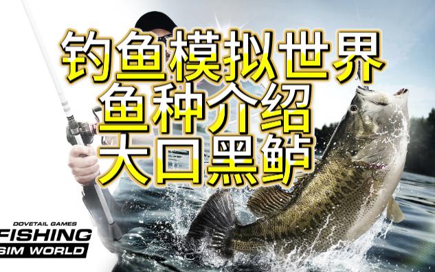 钓鱼模拟世界,鱼种介绍,大口黑鲈1