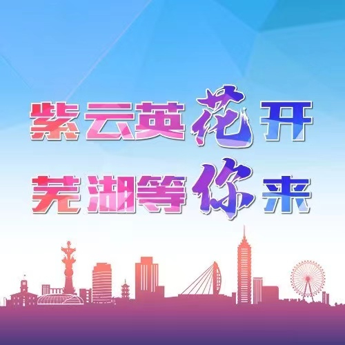 芜湖市人才发展集团 