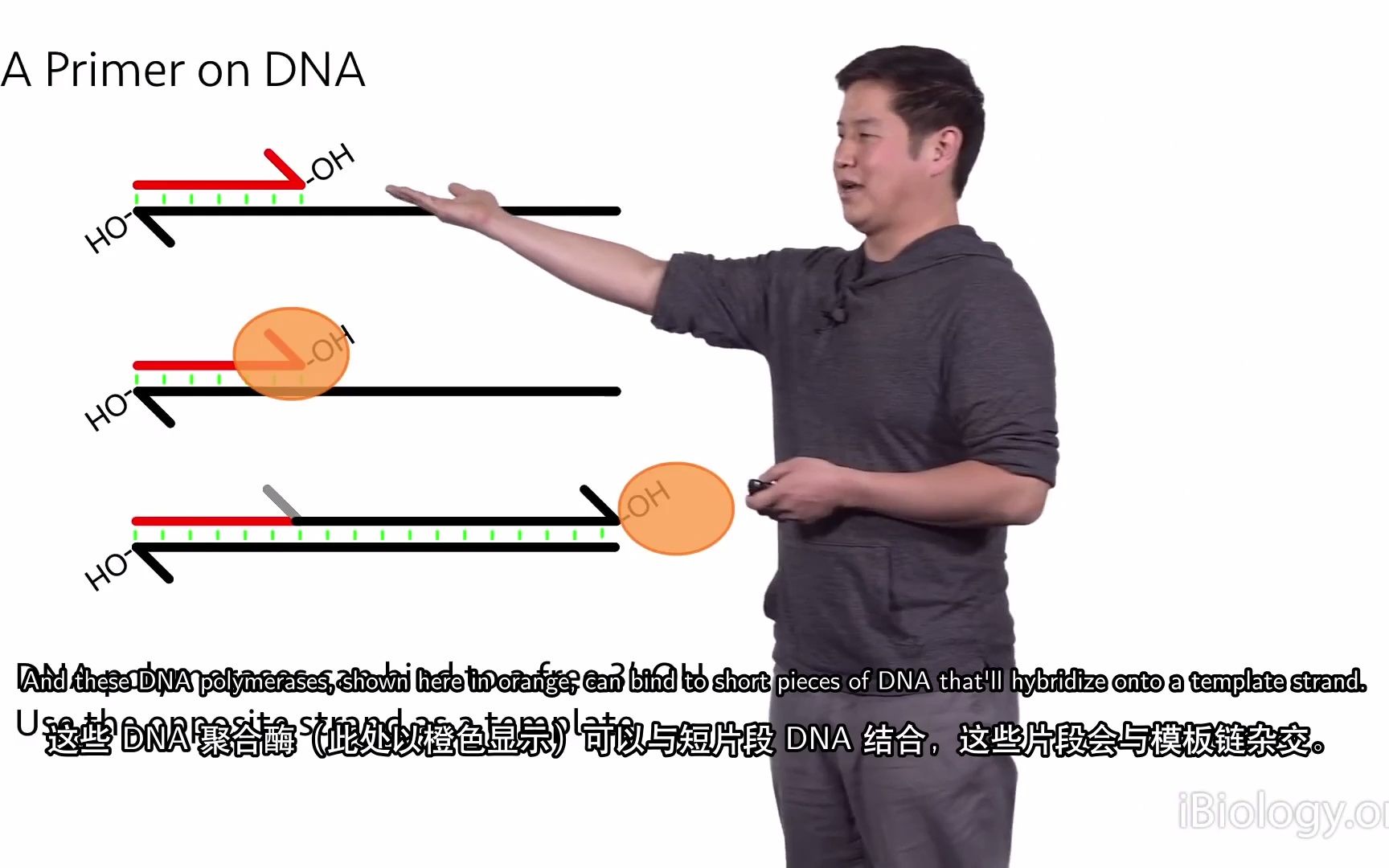 二代测序 1:概述 - Eric Chow (UCSF)
