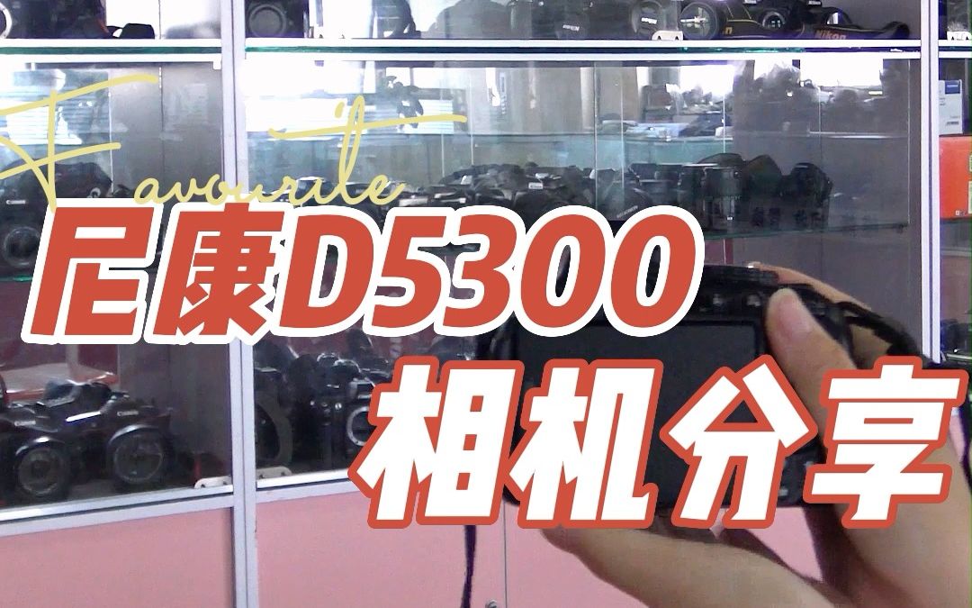 尼康D5300相机分享