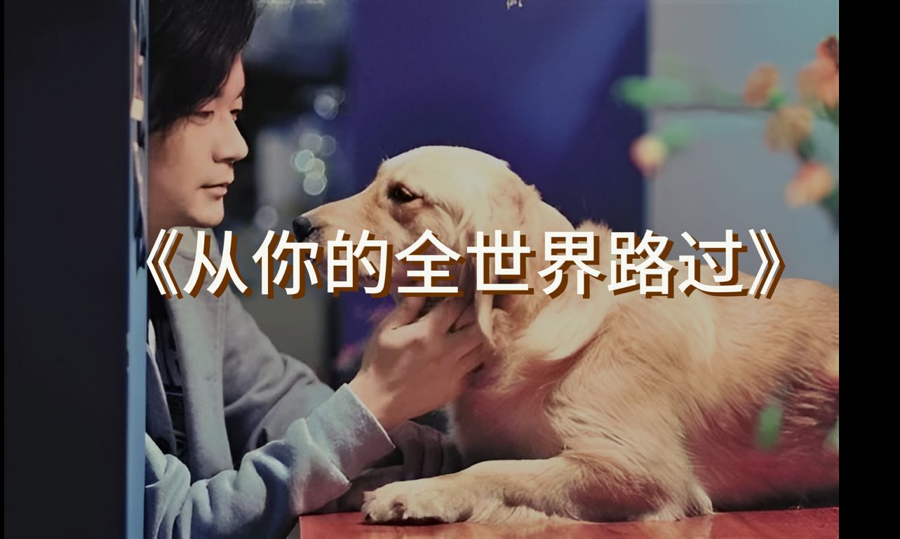 张嘉佳《从你的全世界路过》