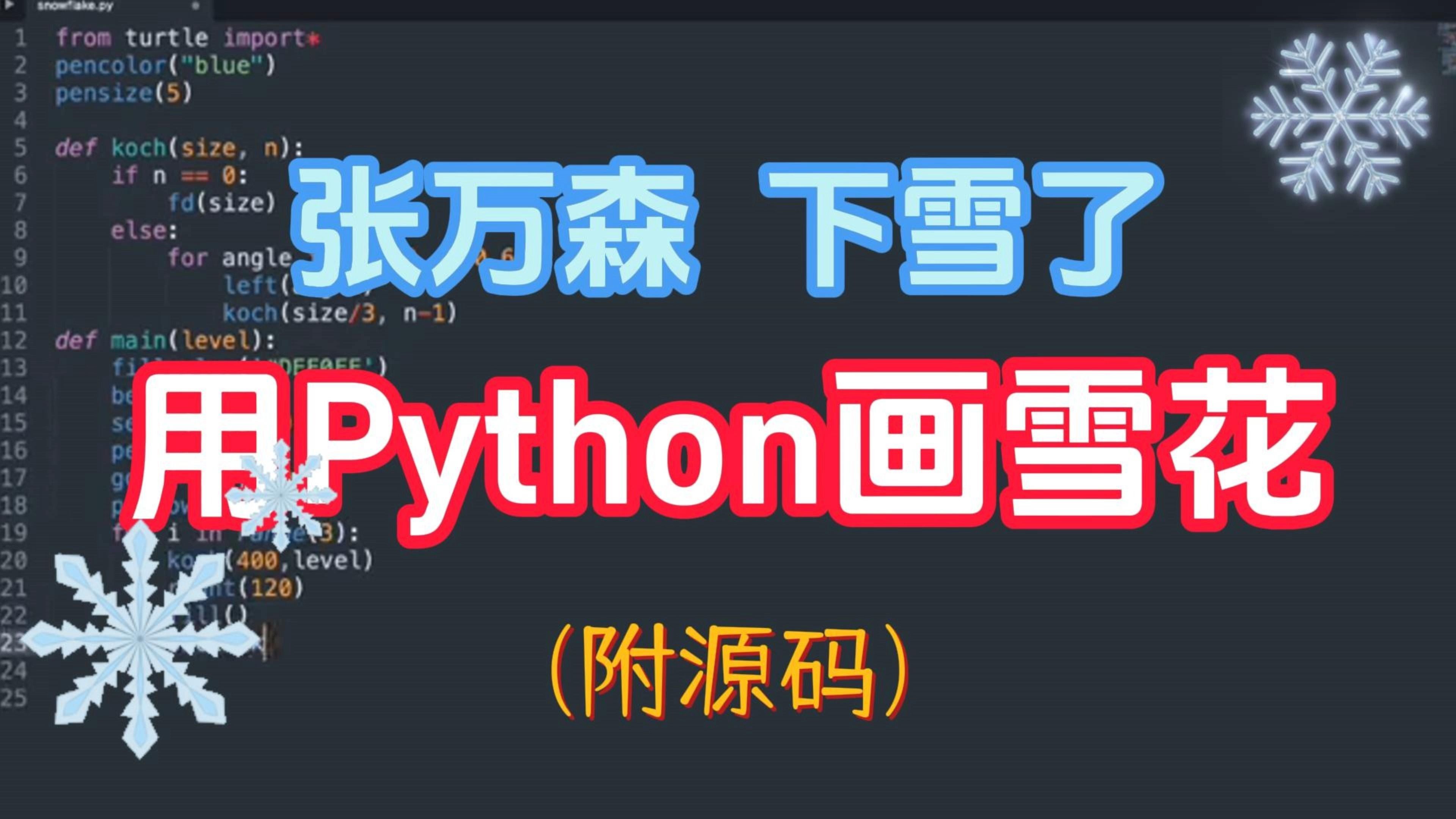 【附源码】张万森,下雪了,你们期待的下雪来了,如何用Python绘制雪花,...