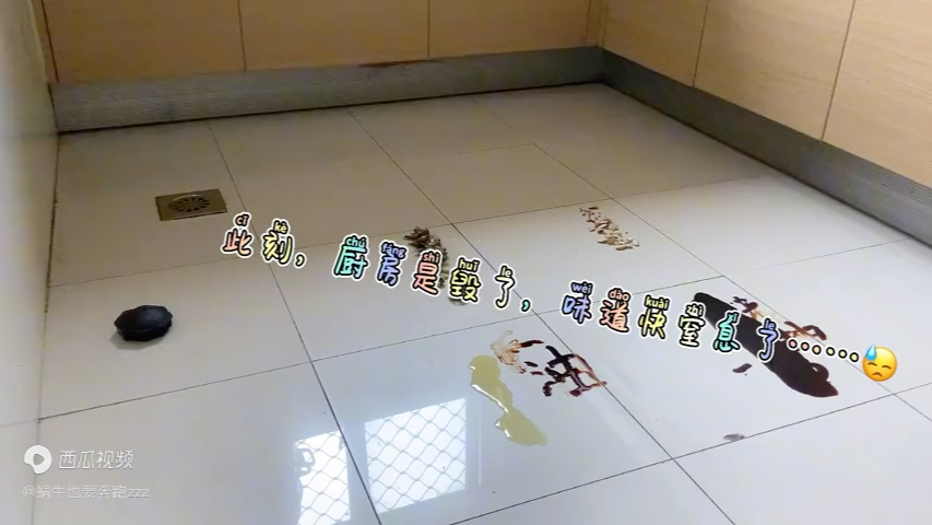 洗地机.….添可2.0LCD测评….厨房毁了,味道久久不能散去.