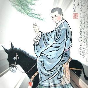 家鸽的故事