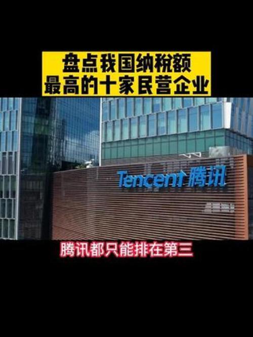 盘点我国纳税额最高的10家民营企业,网友说民营企业还得看浙江省