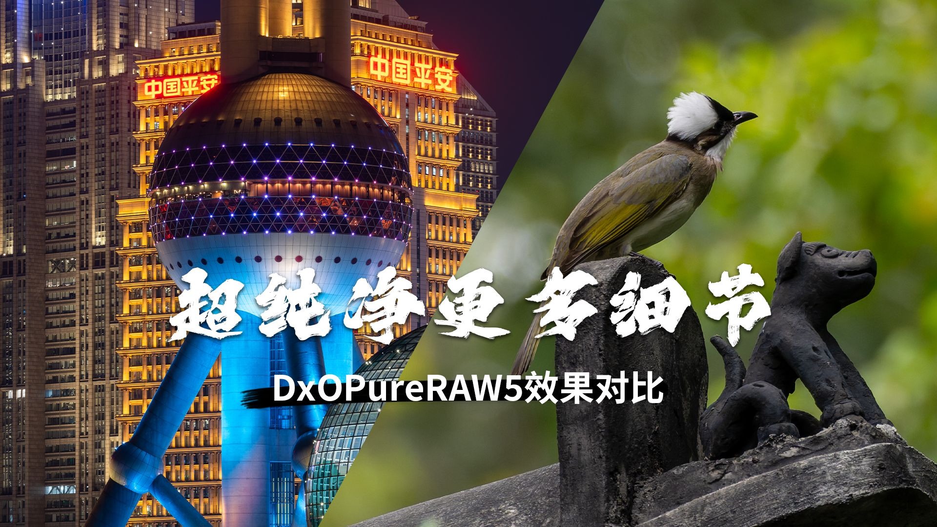 【摄影后期教程】纯净的RAW比什么都重要,富士的涂抹感也能得到...