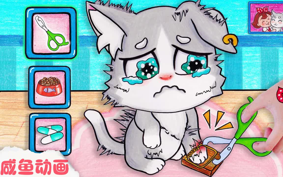 定格动画:小美照顾受伤的小猫咪,还给它准备了漂亮的小裙子!