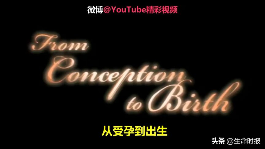3分钟看生命孕育全过程:每一个生命的诞生都不容易