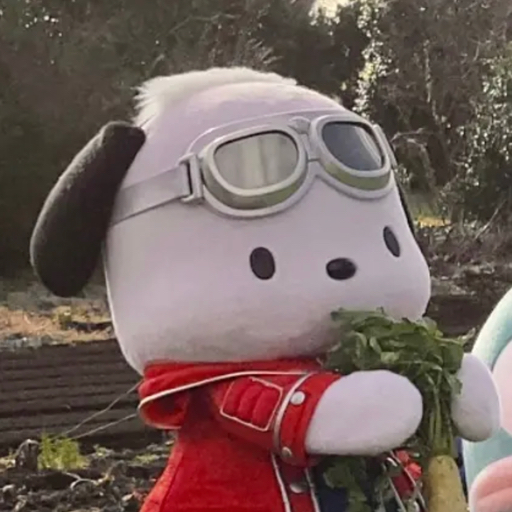 呆头呱呱禁二改二传 