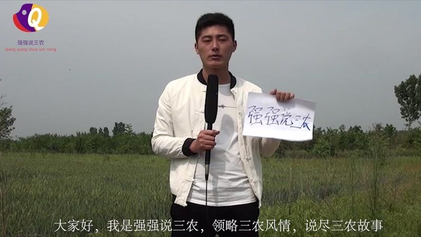 强强说三农:农村大姨详细讲述,桃树的种植方法和管理技巧