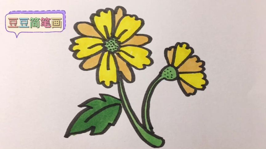 豆豆简笔画,让你画简单的菊花