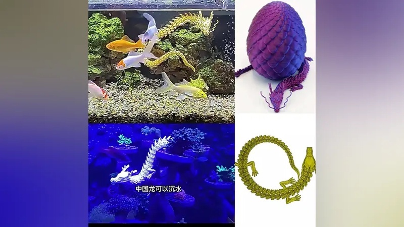 3d打印中国龙关节龙模型玩具摆件炫彩系列卡通全身可动龙造景装