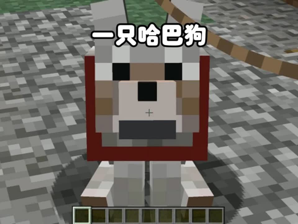 我的世界:一只哈巴狗 #我的世界
