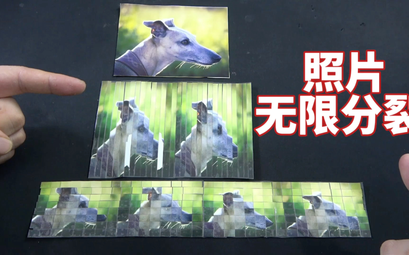 只要把一张照片剪一剪,拼一拼,就能无限裂变?