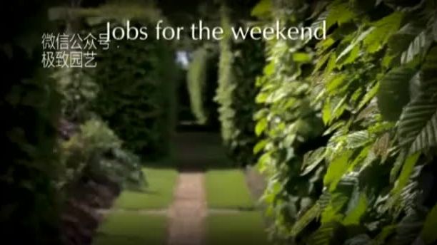 园艺世界:花园绿篱修剪技巧及园艺师日常