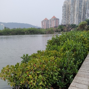 御剑流流流流流 