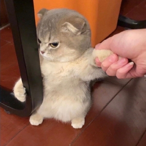 每当下雪时记得想起我 