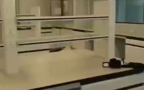 耐腐蚀试剂柜承重为30kg实验室通风柜仪器台部分定制安装