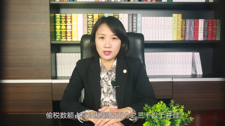 公司偷税漏税财务负责人责任是什么