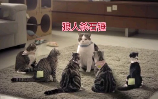 【泰国广告】铲屎官居家必备