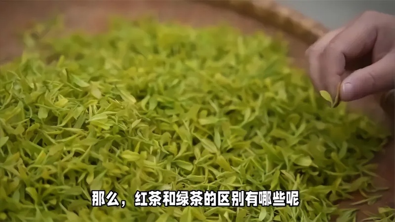 红茶绿茶大比拼,味道差异大揭秘!