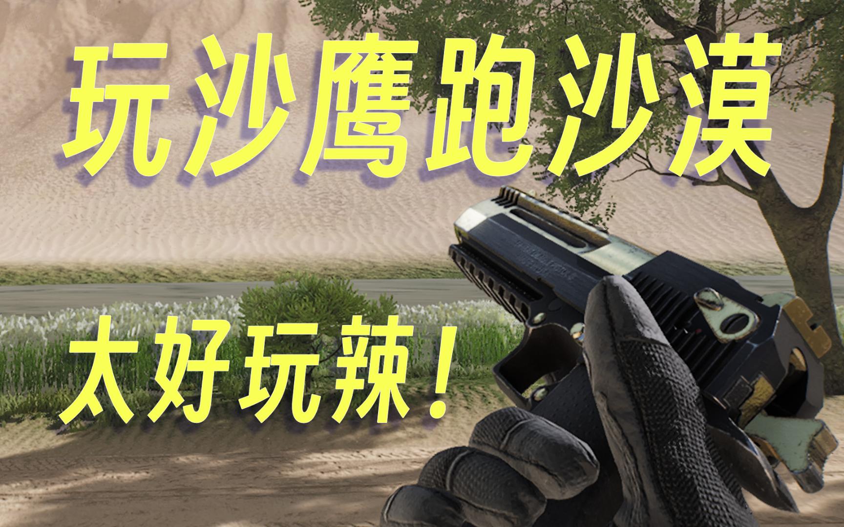 波兰射击游戏的沙漠之鹰是什么样的? 月牙泉边玩沙鹰