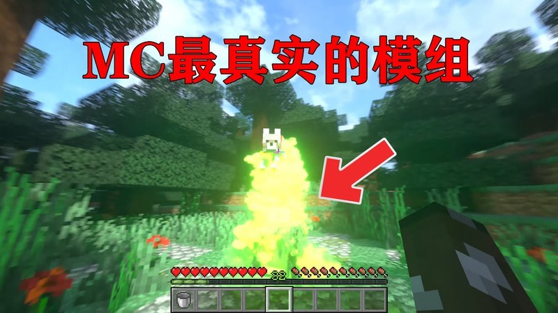 我的世界:最真实的药水,MC最真实的模组!