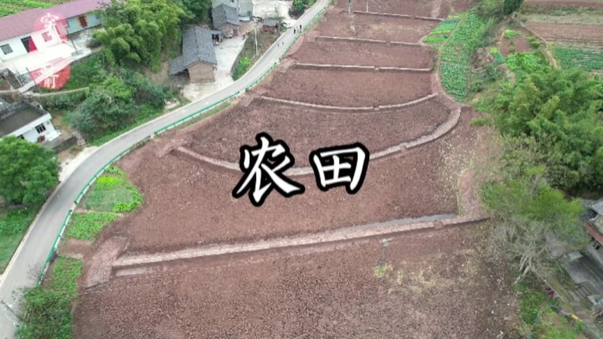 建设高标准基本农田#高标准农田建设 #三农 #助力三农