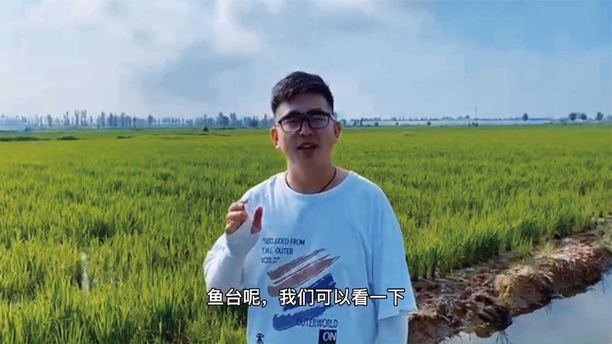 实际探访山东鱼台的稻田,纵观水稻的生长周期《水稻的一生》