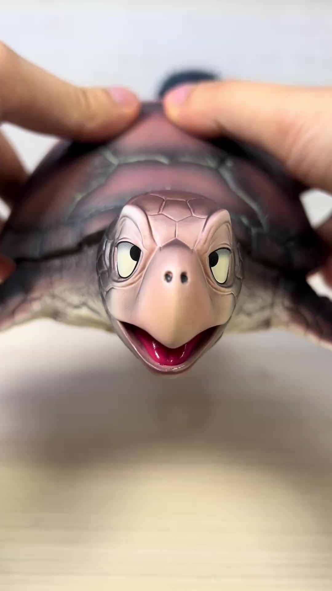 Master龟仙人 初登场龟仙人