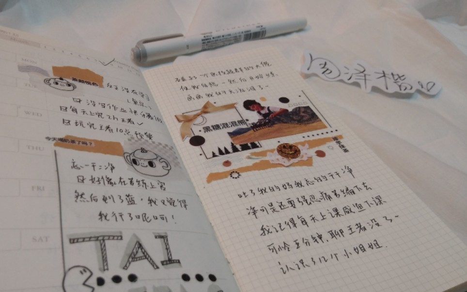 【安安】补个盐盐的周计划/手帐拼贴/盐系手帐/周计划