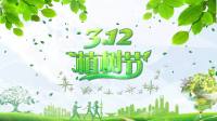 绿色3.12植树节环保宣传设计动画模板 AE素材