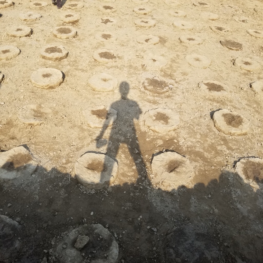 可口可乐比百事可乐更好喝 