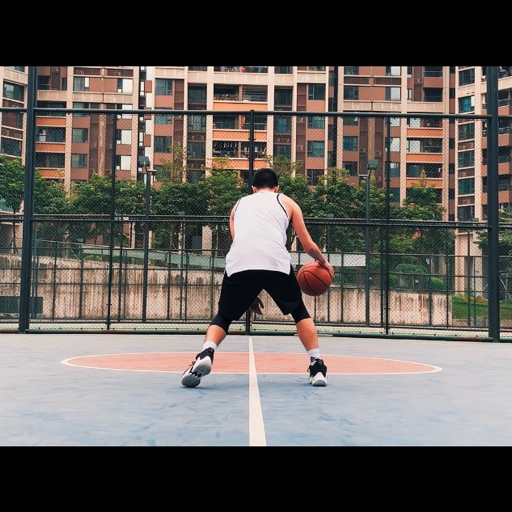 已经养猫的阿Trey 