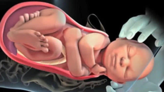 孕妈分娩时胎儿在干什么,3D动画演示全过程,看完忍住别笑