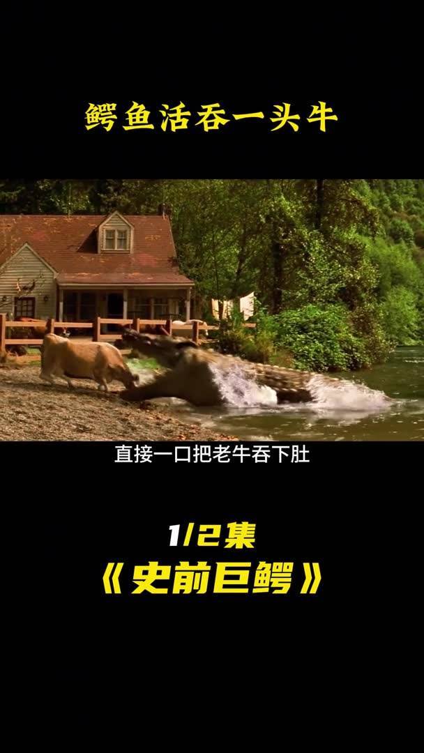 老太太每天都用人肉喂鳄鱼,结果引发一场巨大灾难