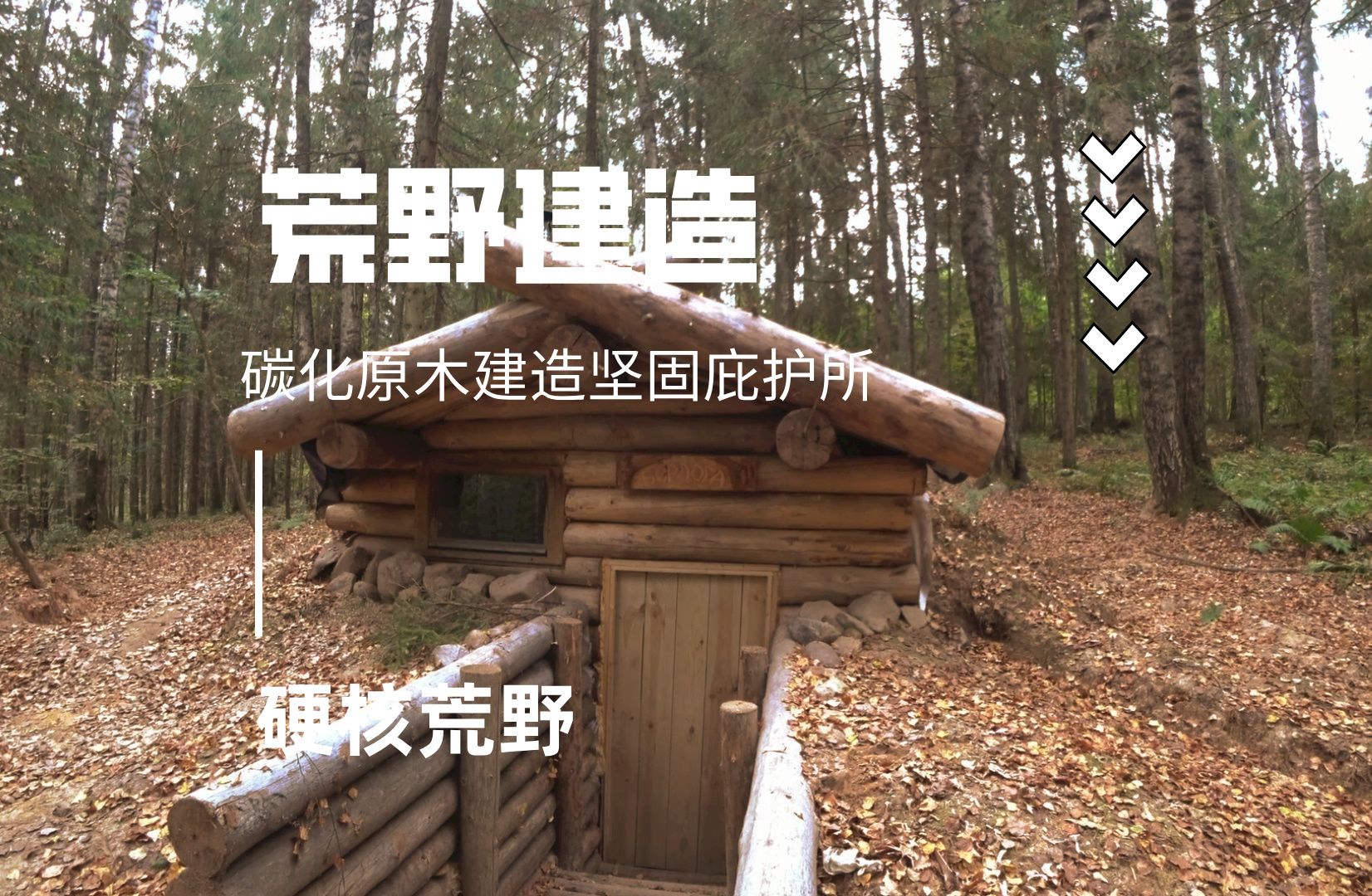 一个人用原木在荒野建造坚固庇护所