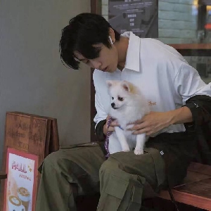白介二 