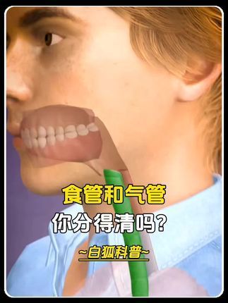 吃饭千万别吃到气管里
