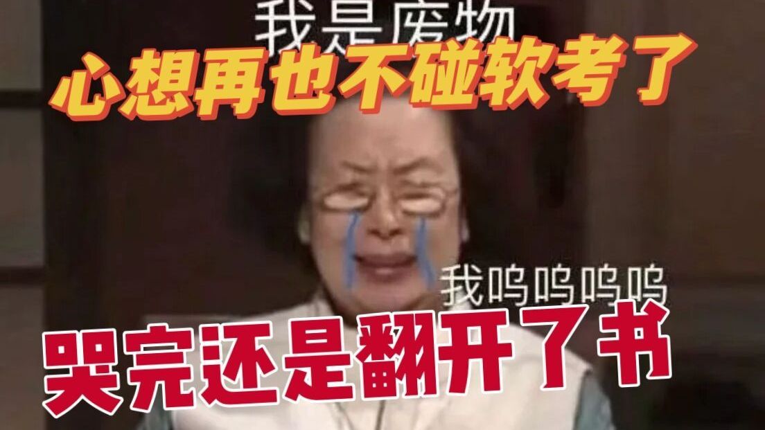 00后程序员在职备考软考高项崩溃实录!一个人窝在出租屋里边哭边学...