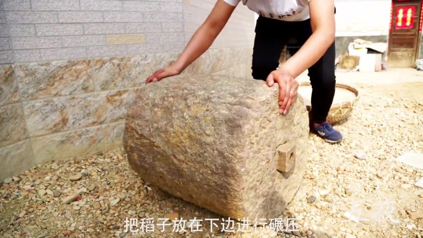 水稻怎么种的?农村小伙还用这样的土办法,估计城里人没见过