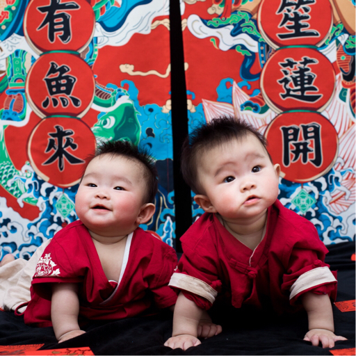 大壮二壮日常记录 