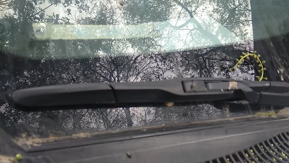 卡罗拉的雨刷器【来自懂车帝车友圈】