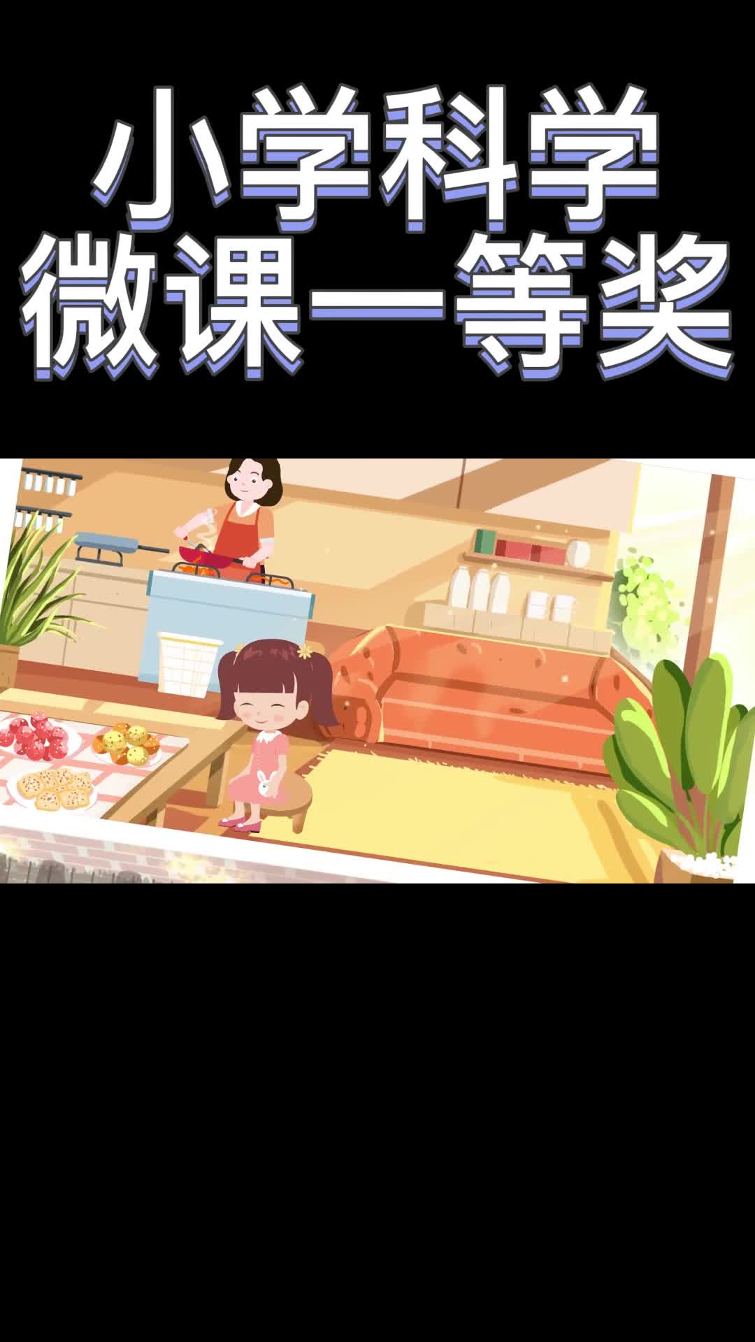 小学科学微课一等奖获奖作品案例展示设计中