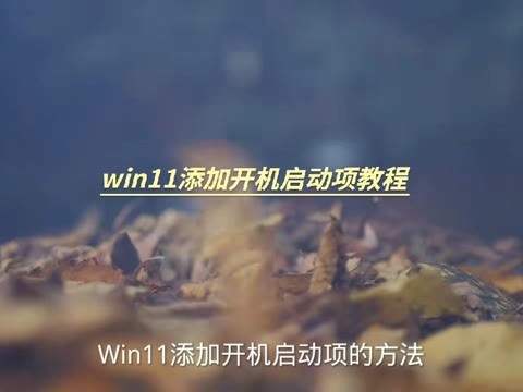 win11添加开机启动项教程