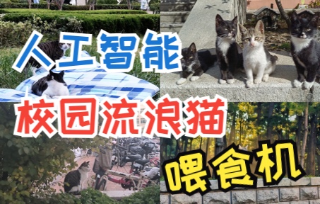 啥?AI能给猫喂食?