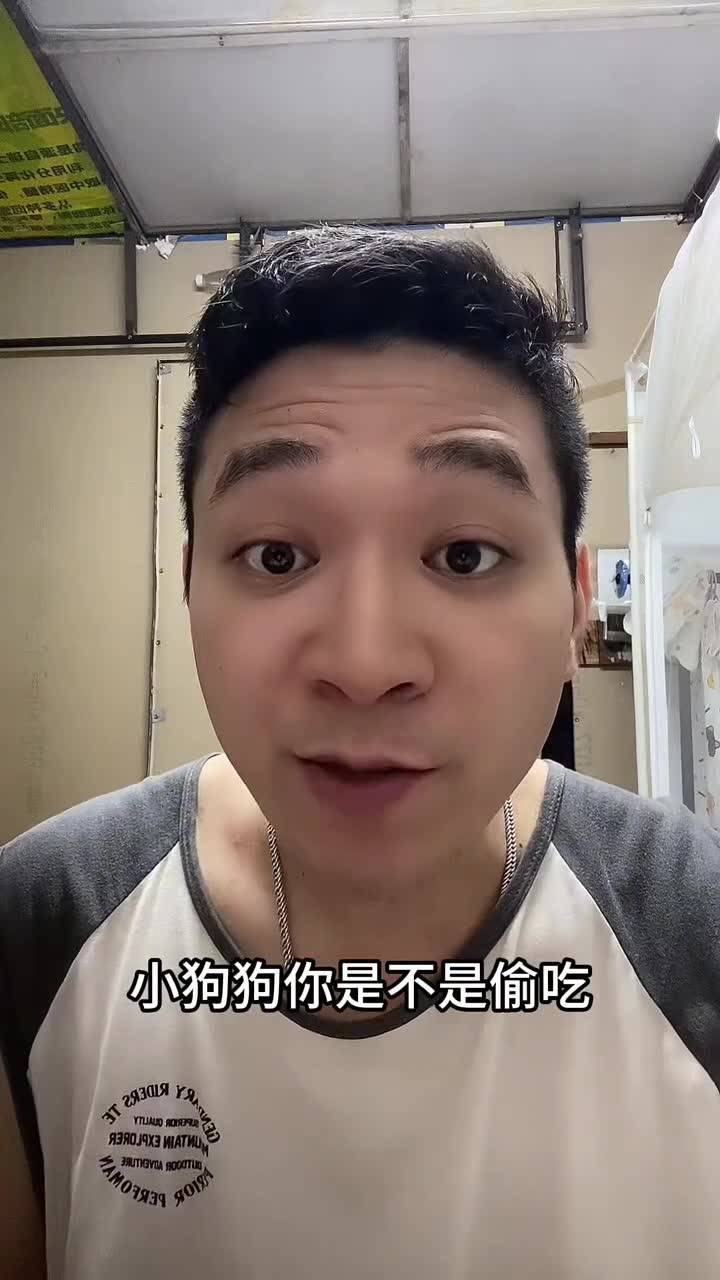 可爱小狗狗 #搞笑视频 #儿童动画