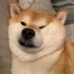 爱阅读的小明同学 