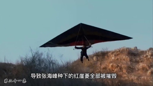 顶级特工都不能完成的任务,竟被小男孩办成了